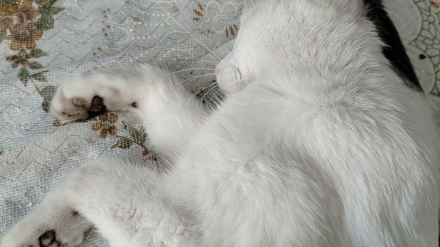 Нас стало меньше.18-05-2026