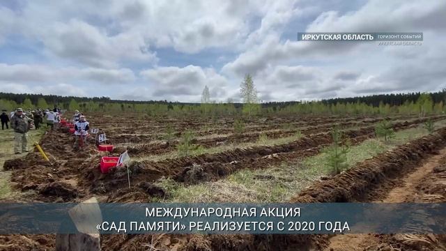 Около 19 тысяч молодых сосен высадили в память о героях Великой Отечественной войны