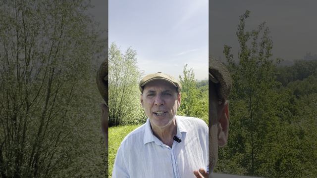 Теория вины. Апостол Павел: вина и подполье сознания.