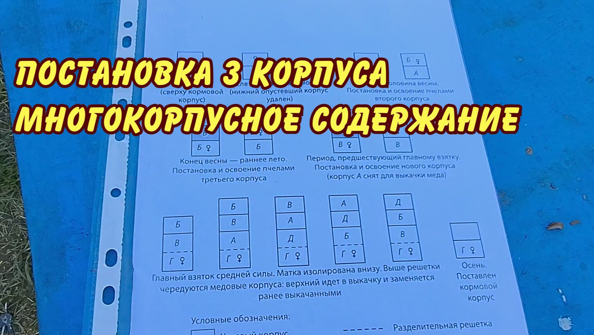пчеловодство, постановка 3 корпуса многокорпусное содержание