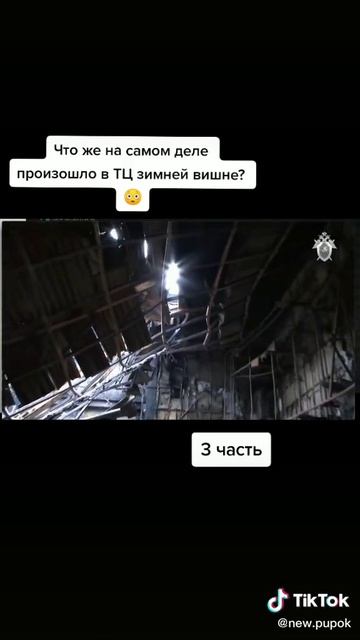 ЧТО ПРОИЗОШЛО НА САМОМ ДЕЛЕ В ЗИМНЯЯ ВИШНЯ ЧАСТЬ 3