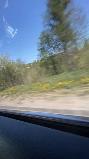 Видео с дачи 5