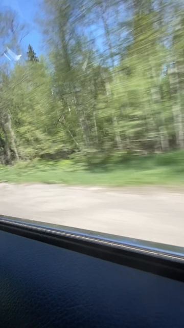 Видео с дачи 4