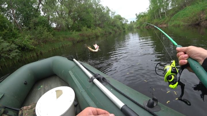 Рыбалка на спиннинг, капризная рыба