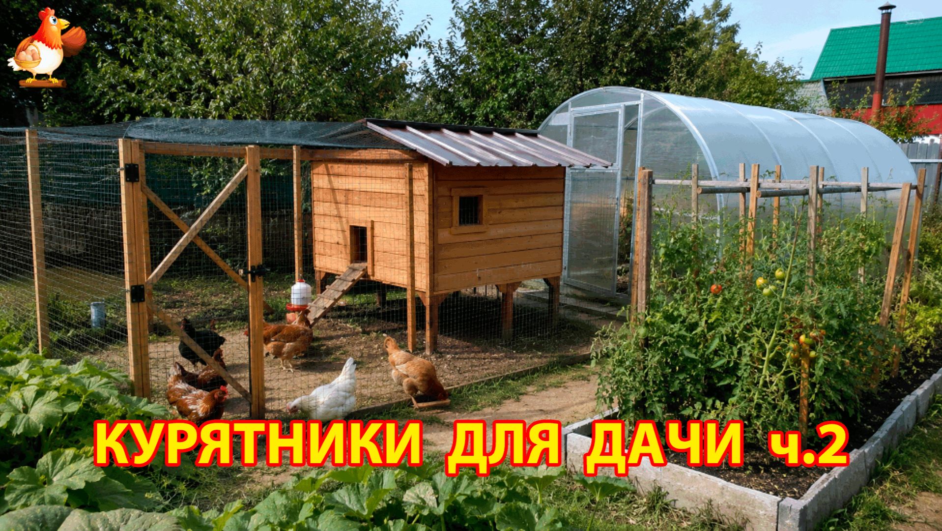 Варианты курятников для дачи и сада – идеи для удобного содержания кур (2)