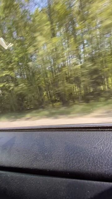 Видео с дачи 3