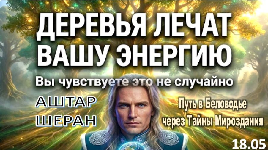 Если вы чувствуете тягу к лесу, ваша душа пробуждается | АШТАР ШЕРАН