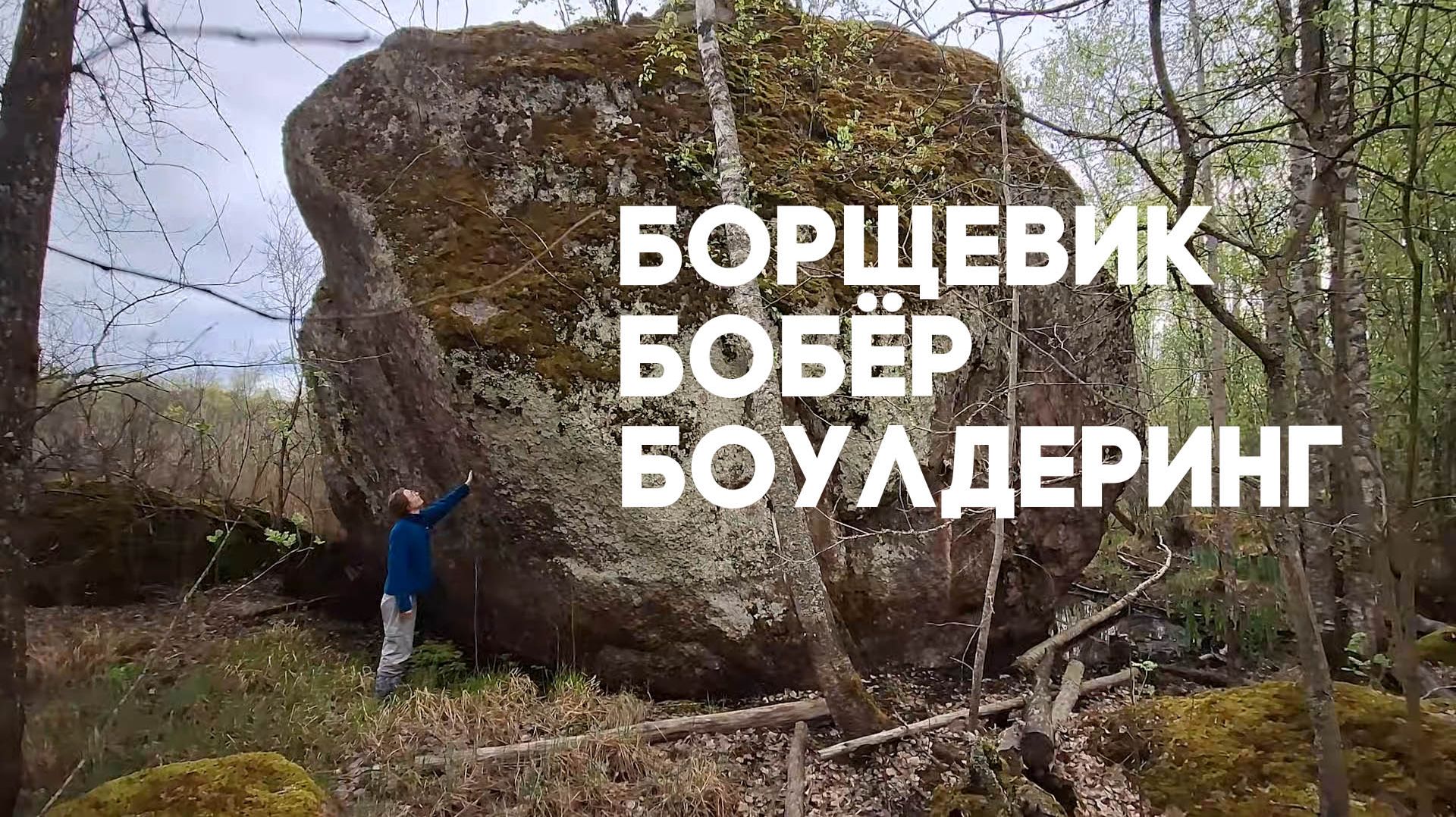 Борщевик, бобёр, боулдеринг