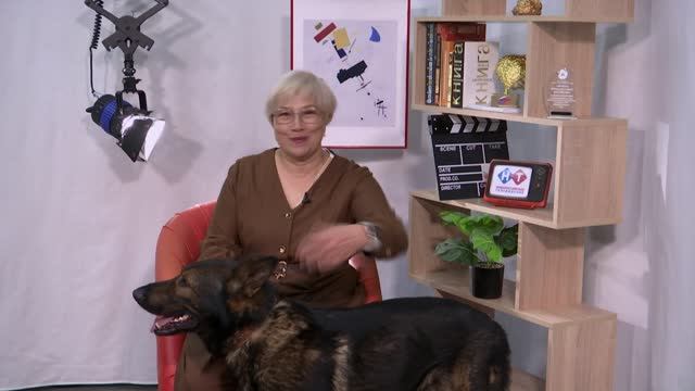Собака - друг человека! Кинолог Татьяна Пантелеева - со знанием дела - о собаках в городе.