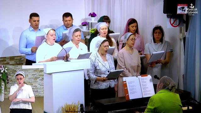 Мы долгие годы, в дороге далекой