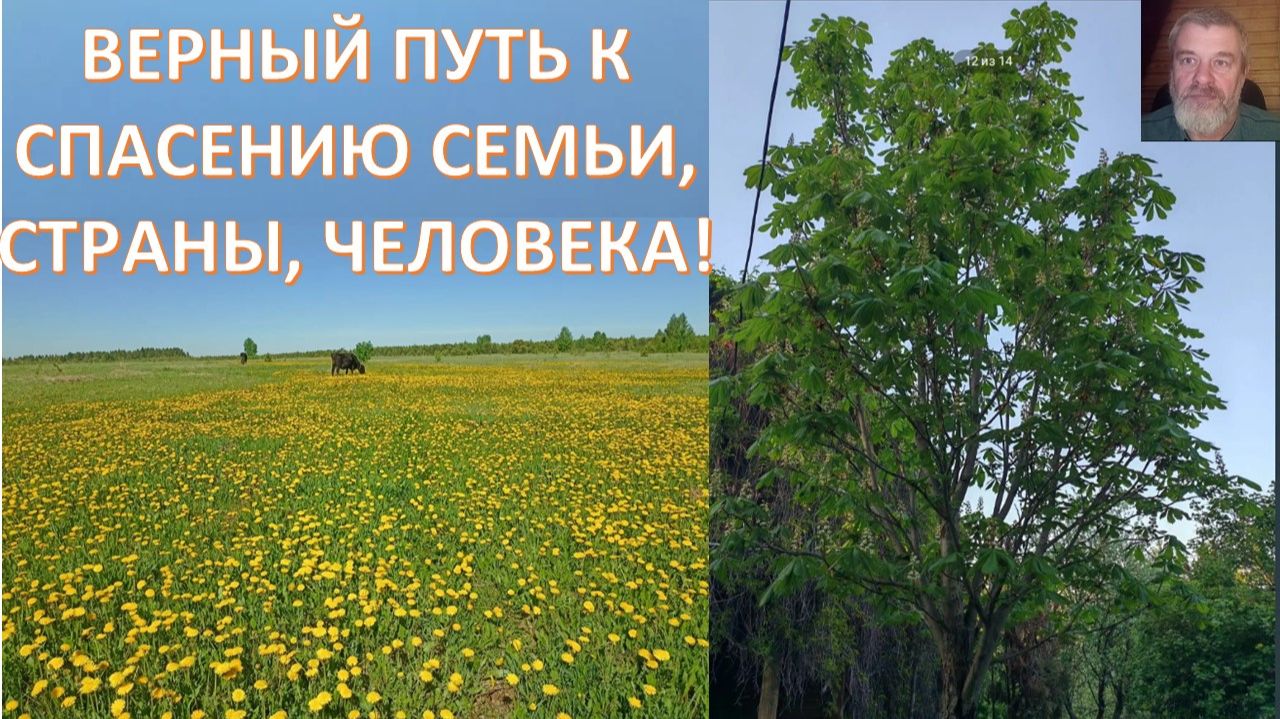 Сказка, которая может  стать для Вас былью. Красота рядом. Сделайте шаг.