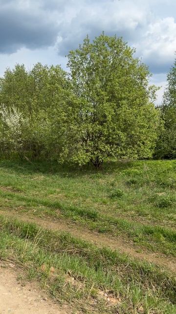 Продается  участок 27,5 соток в тупиковой живописной дер. Коровино, около г. Карабаново