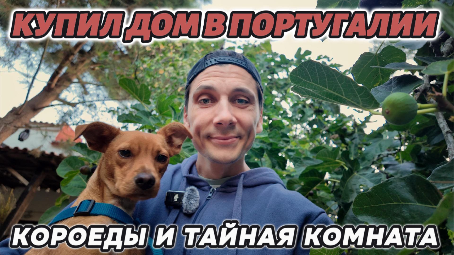 Дача в Португальской деревне / Короеды и ТАЙНАЯ КОМНАТА