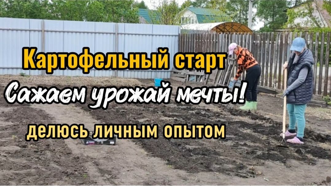 Картофельный старт. Сажаем урожай мечты! Делюсь личным опытом.