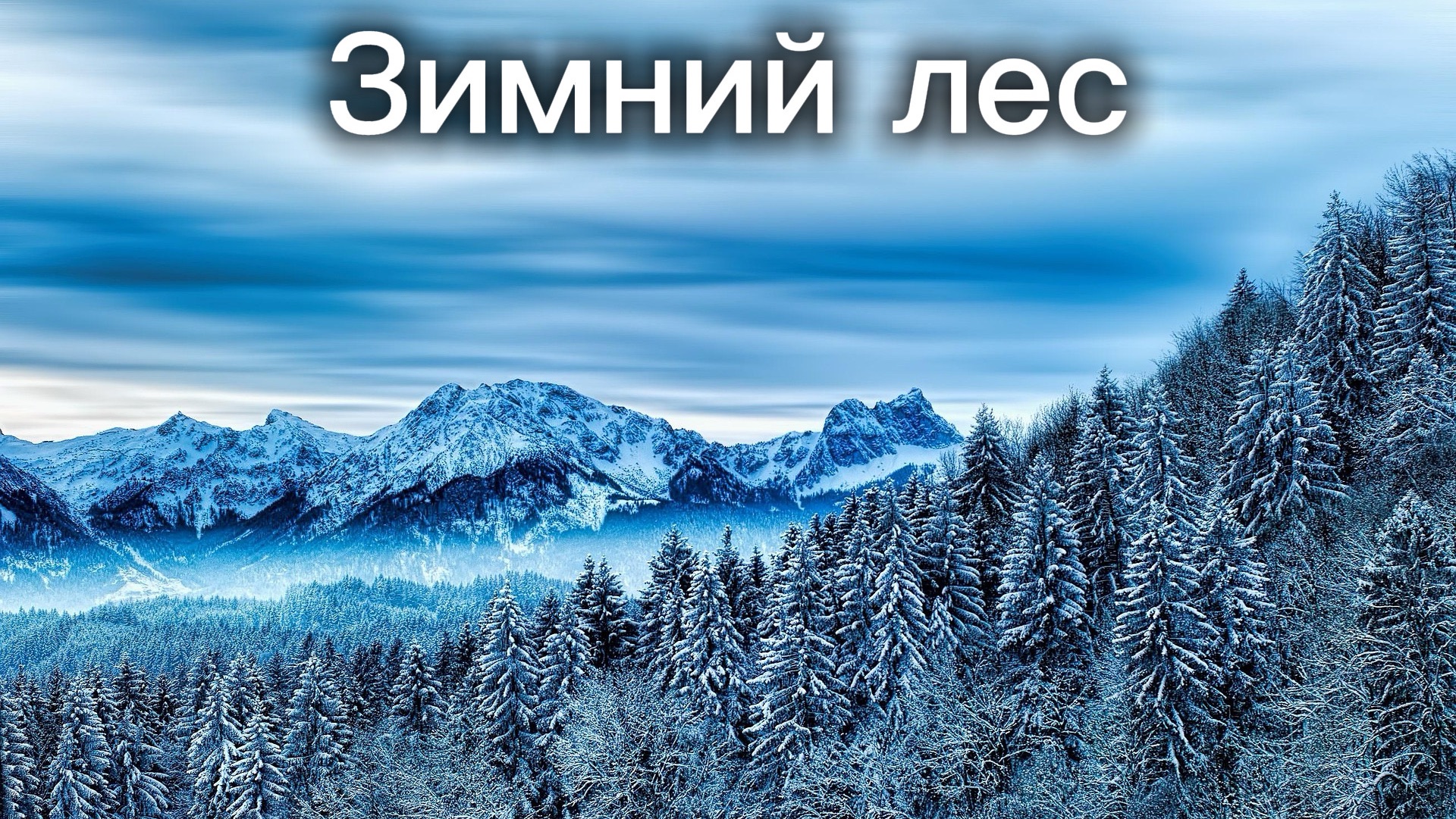 Зимний лес ночью | Снег и ветер FHD снимает стресс после тяжелого дня