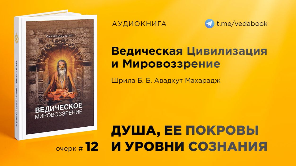 12. Душа, её покровы и уровни сознания — Свами Авадхут