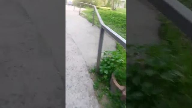 стрим вечерний