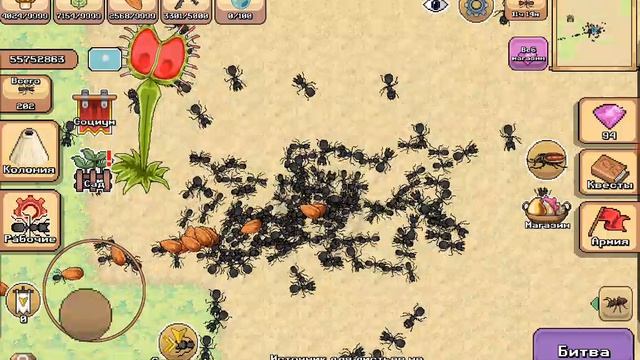 как победить лягушку камнем в POCKET ANTS?