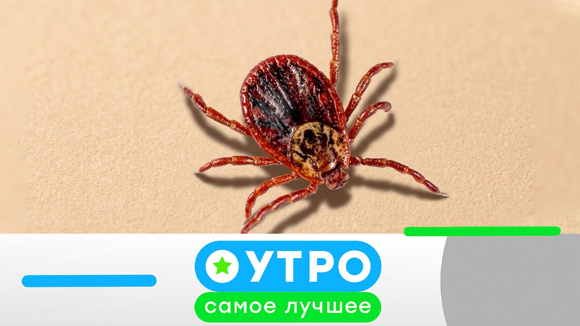 «Утро. Самое лучшее». 18 мая 2026 года