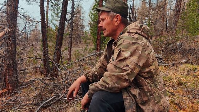 Джип-сафари на Алтае 2026: база «Застава Михалыча», болота и дрова. Стоит ли ехать?