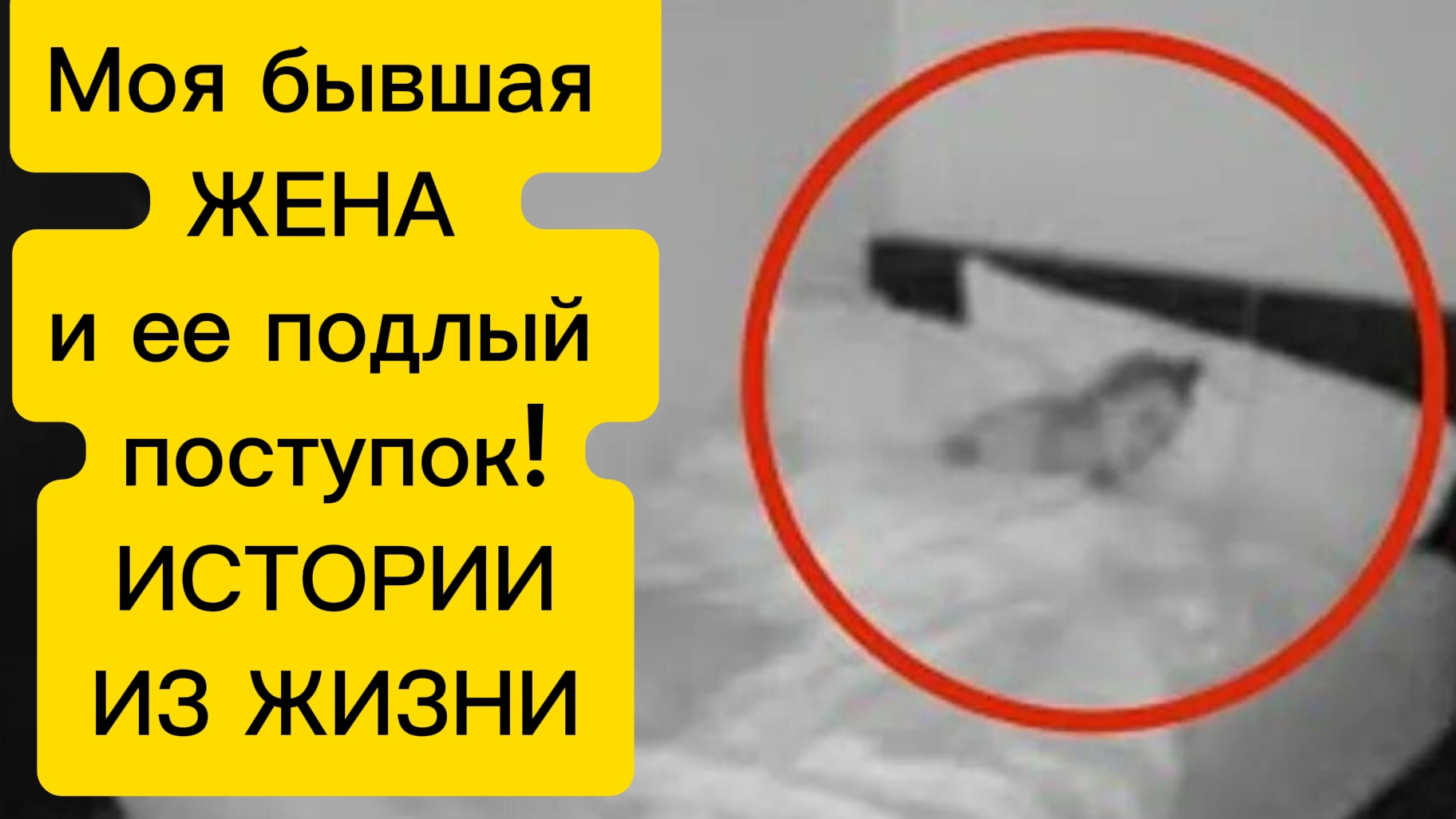 Истории из жизни! Моя бывшая жена устроила нечто!? Эту историю вы запомните.mp4