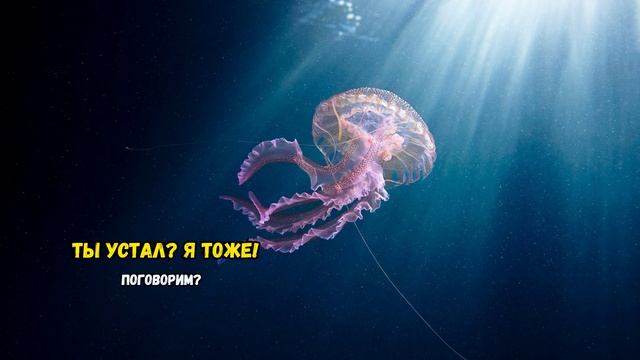Ты устал? Я тоже! Поговорим?