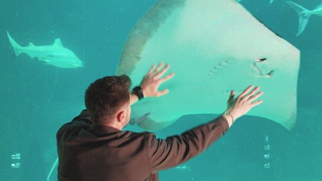 Москвариум, лекции про воду