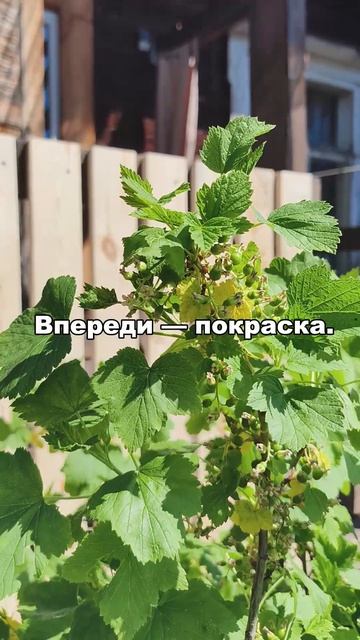 Преображение террасы в бараке. Часть 1