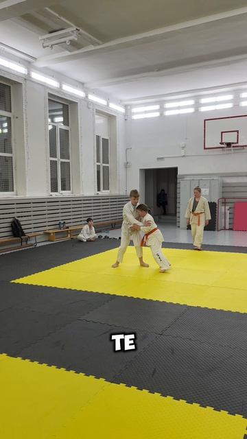 Работаем по группам на тренировках по айкидо