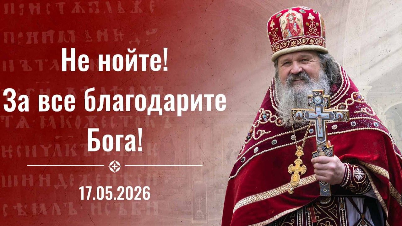 О духовной «дальнозоркости». Воскресная проповедь протоиерея Андрея Лемешонка. 17 мая 2026 г.
