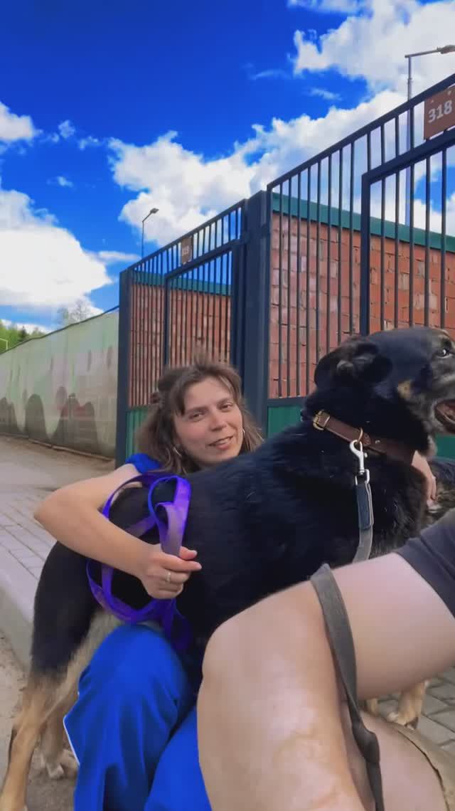 "Полный комплект собак" ❥ Приют в Малинках