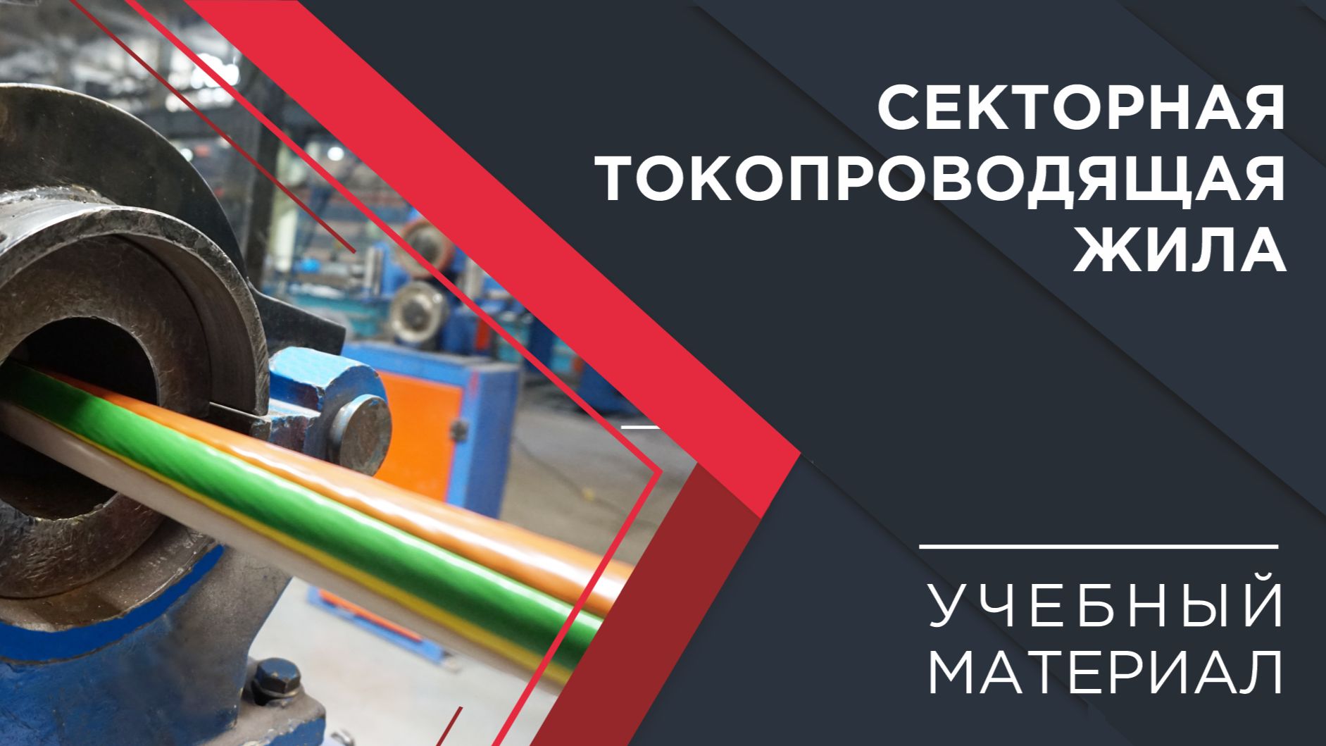 Погружение в кабельный мир КЗ «ЭКСПЕРТ-КАБЕЛЬ»: секторная ТПЖ
