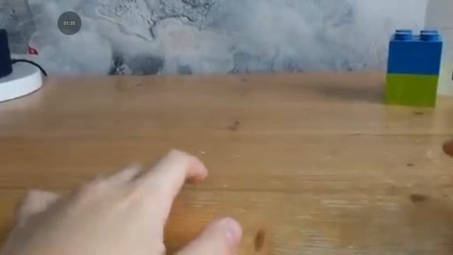 Печечня RYTP