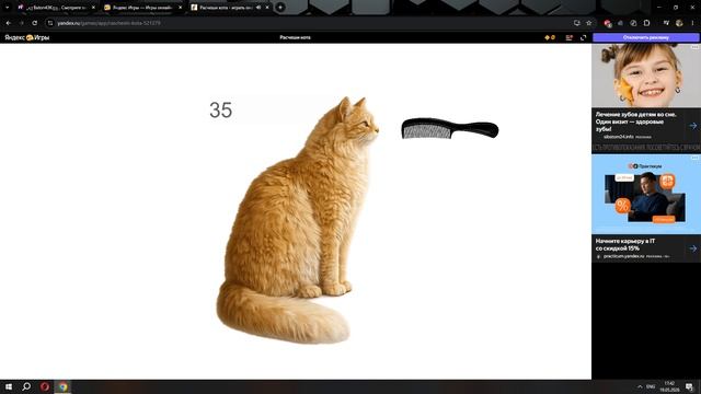 чешем какого то кота