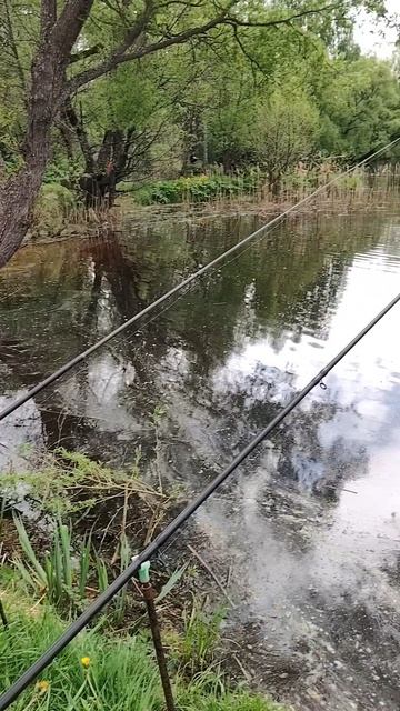 Рыбалка 19.05.2026