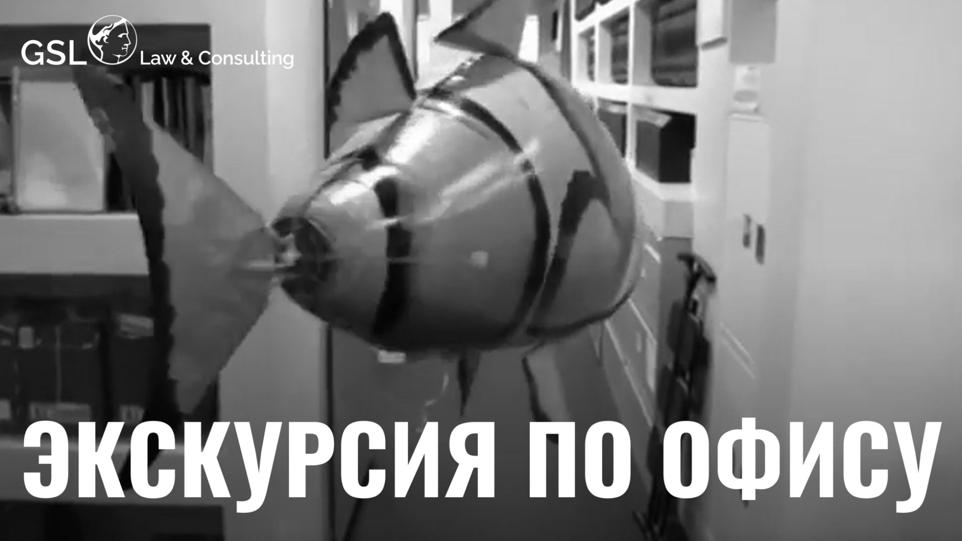 Экскурсия по офису