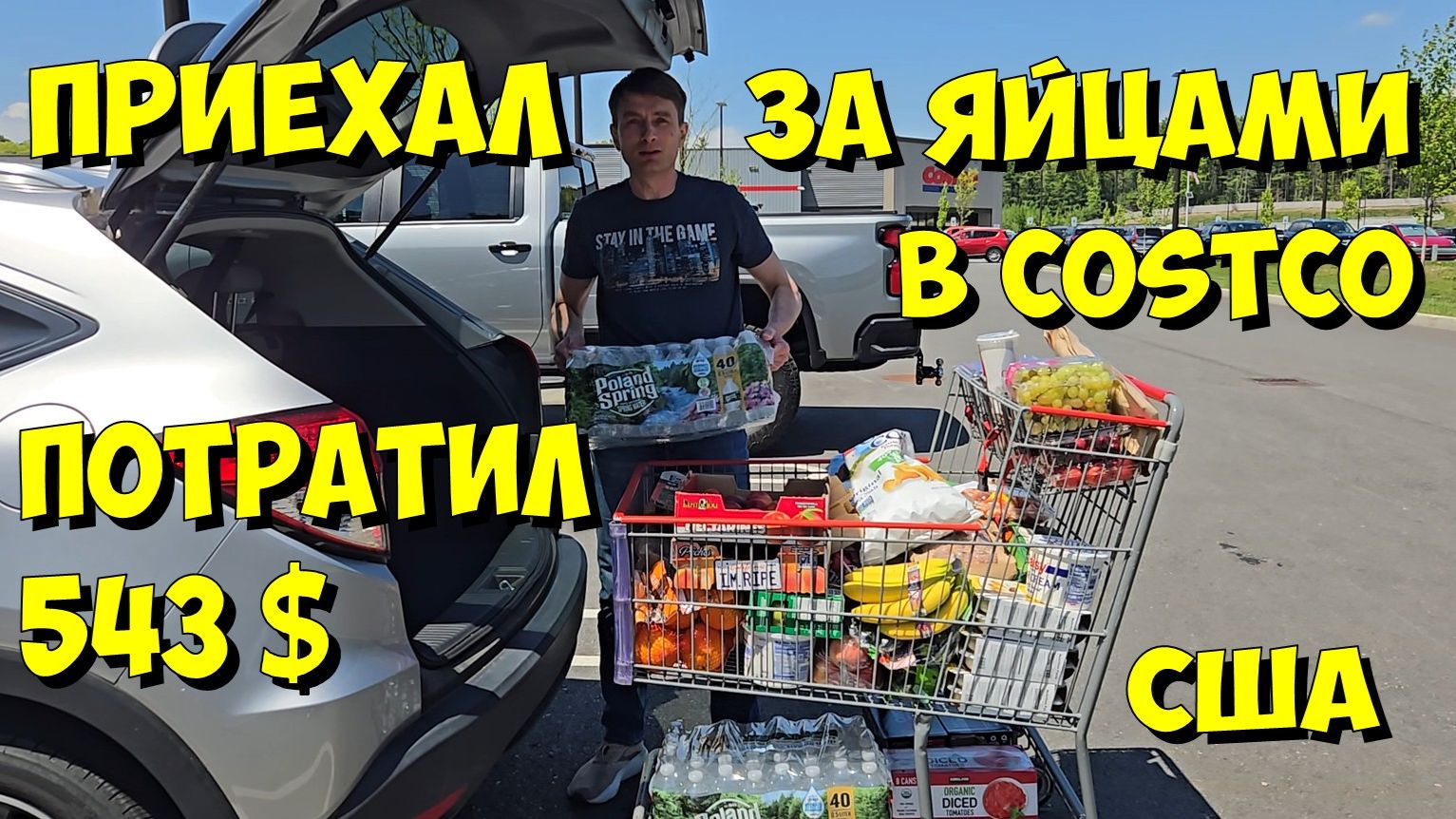 США. Приехал за яйцами в Costco и потратил 543 доллара
