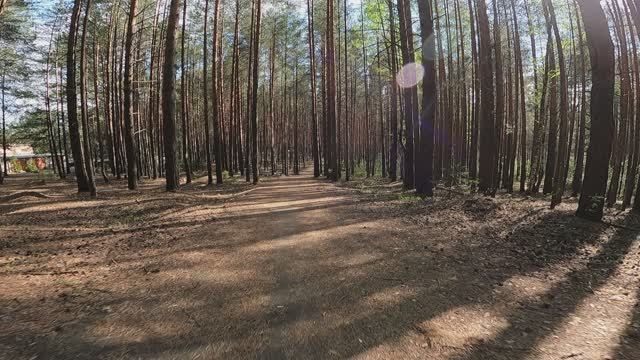 ЛРТ на ППИ