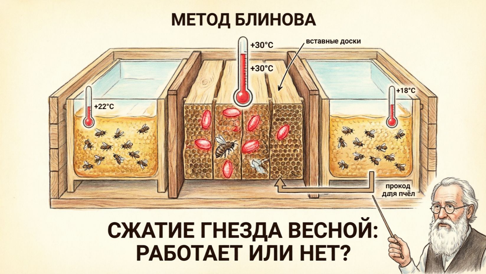 Метод Блинова: спасение слабых семей или ошибка? Отвечает профессор Кашковский 🐝📚