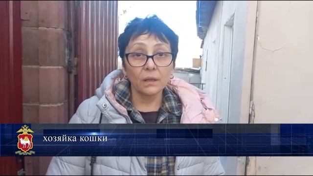 Полиция Южного Урала 15 выпуск