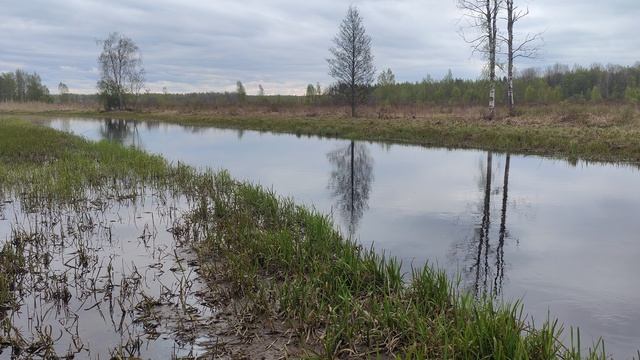 Булатная VID_20260511_105448