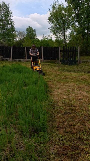 Когда сосед завел косилку... 🚜 Я заведу свою! 😉🤣