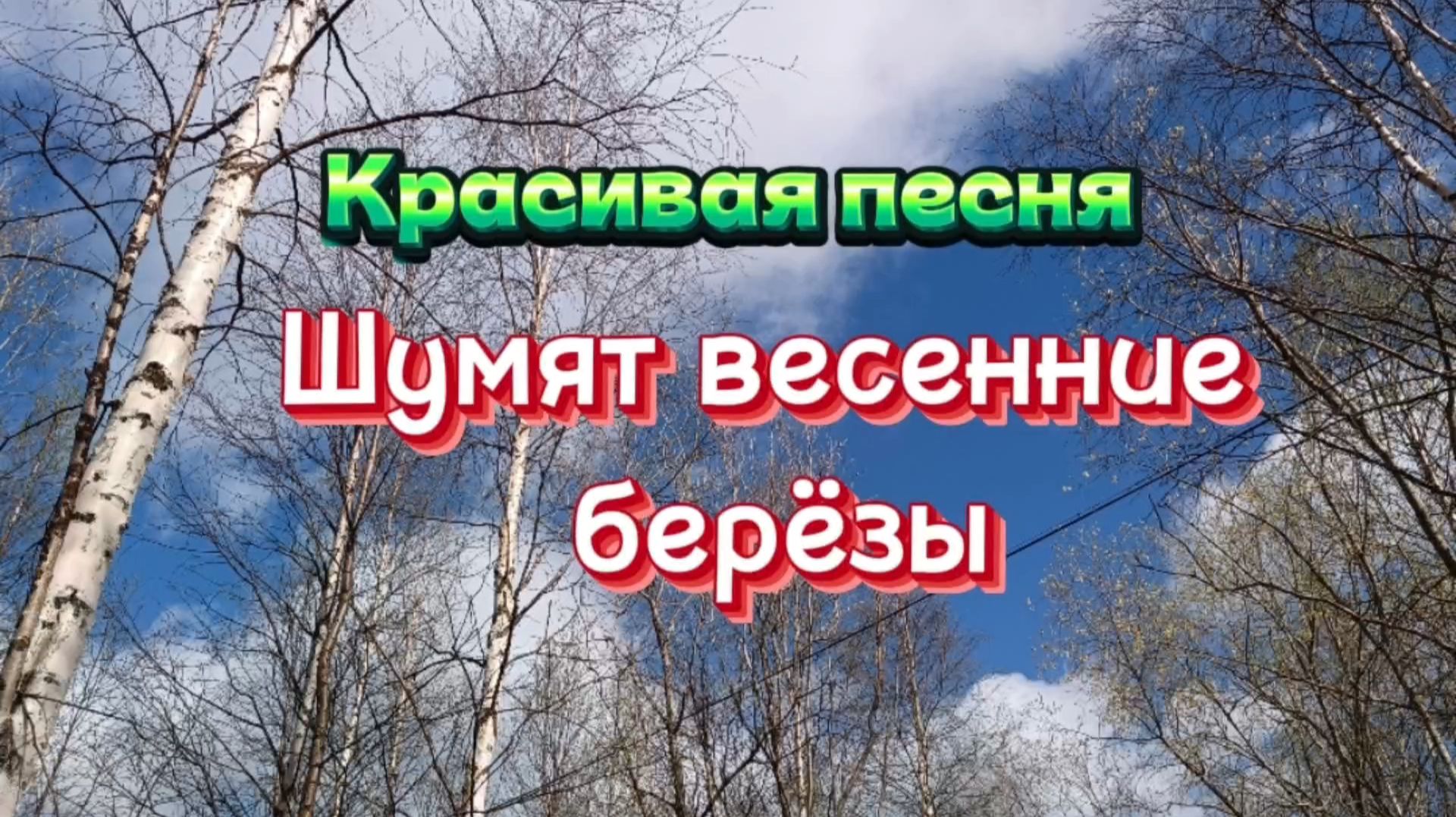 Красивая песня ШУМЯТ ВЕСЕННИЕ БЕРЁЗЫ