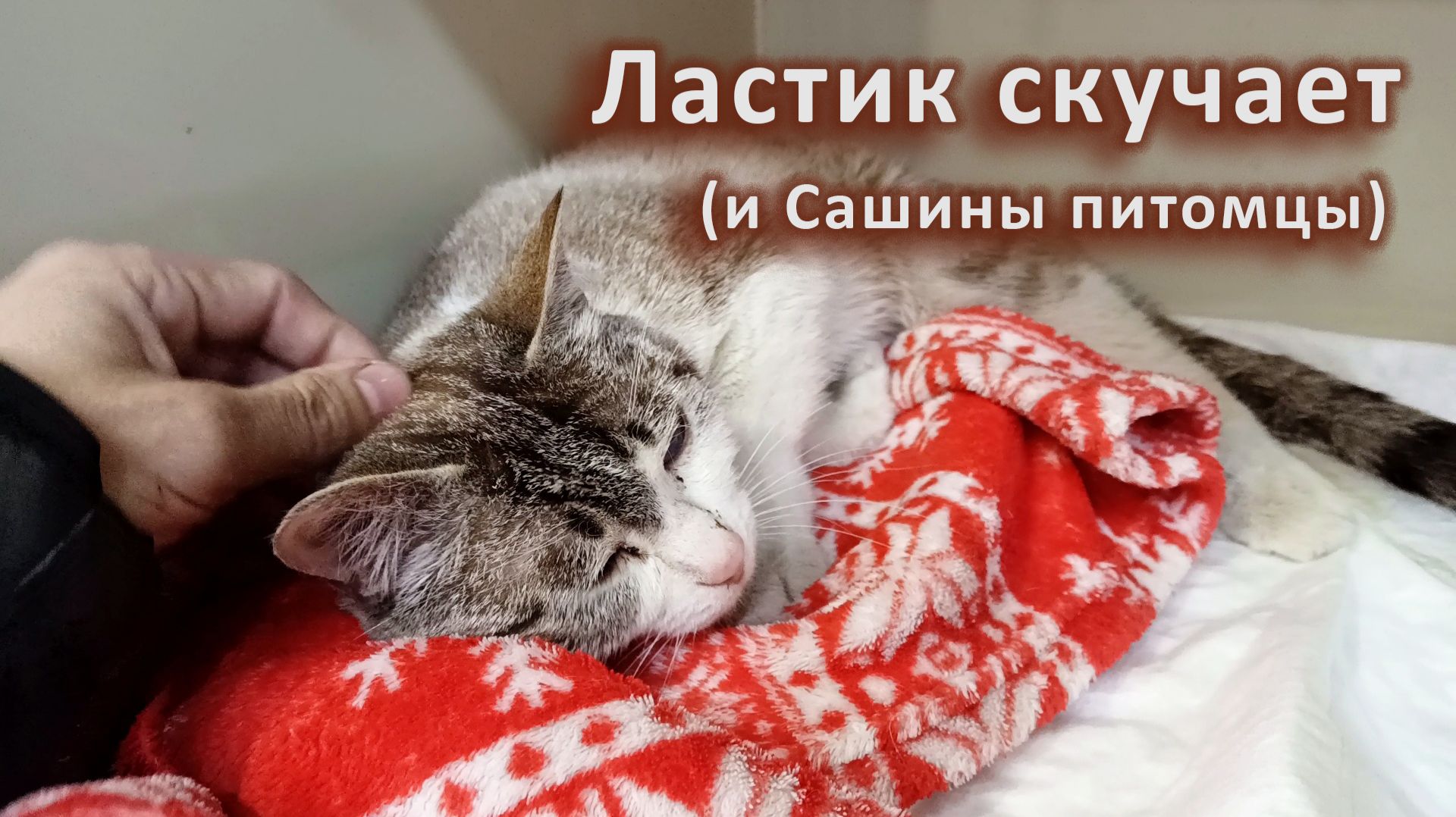 Ластику скучно одному....