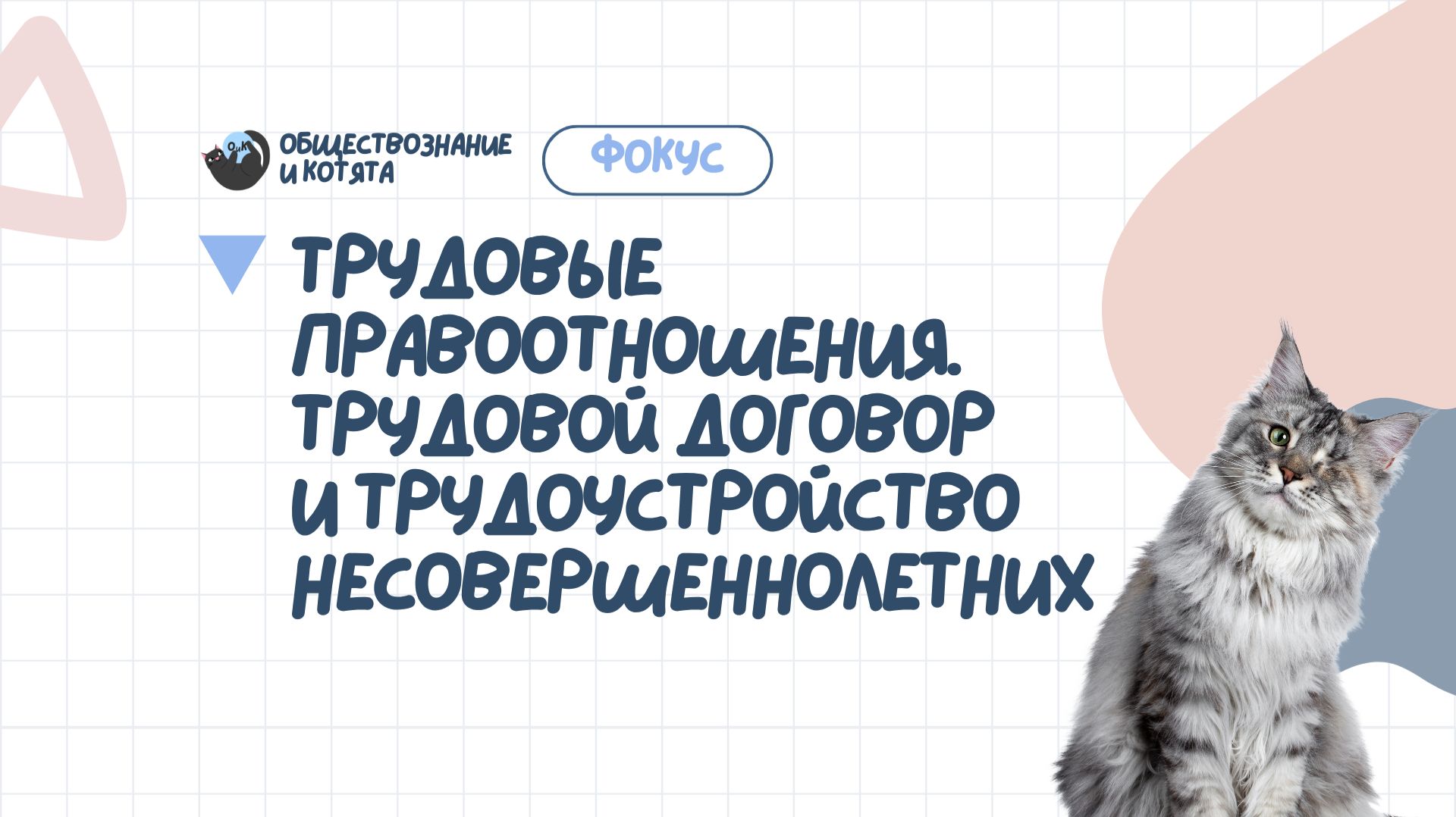 7.2-9. Трудовое право(2)
