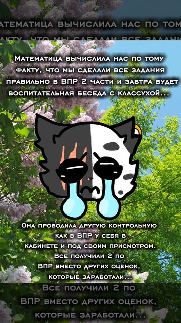 Пожалуйста, учитесь на ошибках Тёмной Ночи и никогда не списываете на матеше, даже если разрешили💔