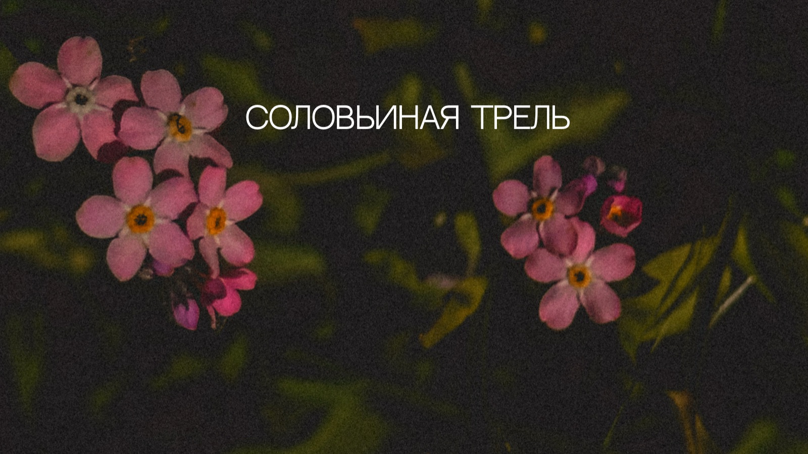 Май