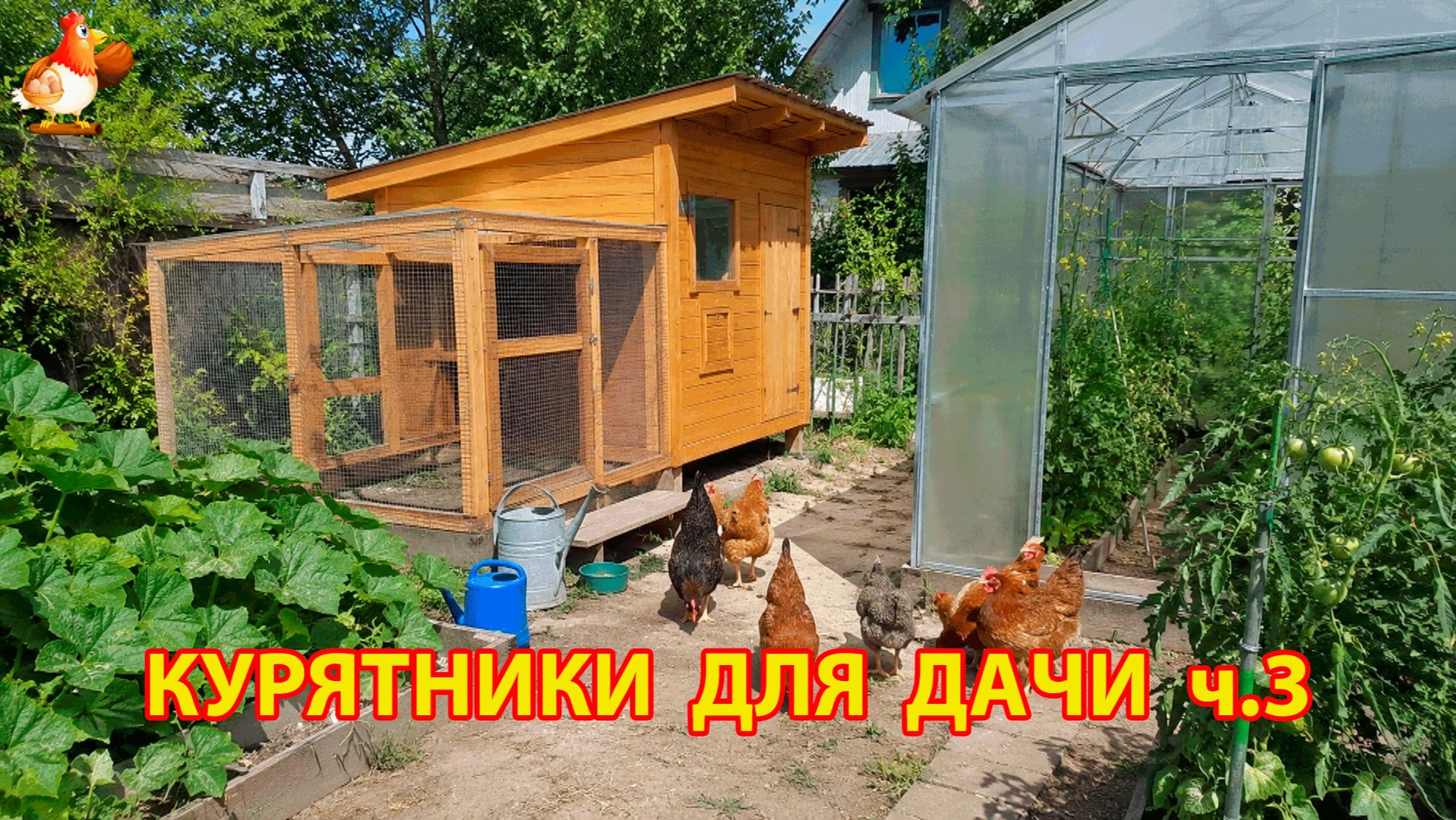 Варианты курятников для дачи и сада – идеи для удобного содержания кур (3)