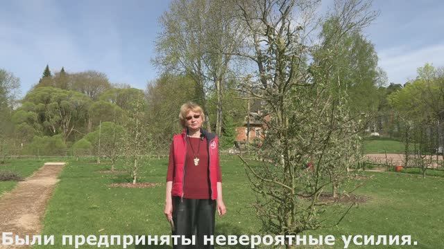 В плодовый сад приехали деревья из питомника Лорберг