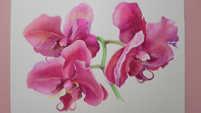 Как нарисовать розовые орхидеи 🌺 Ботаническая акварель